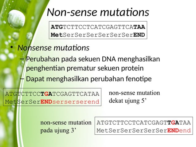 MUTASI DAN JENISNYA, INSERSI, DELESI .pptx