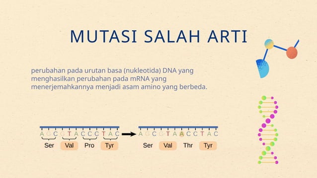 Mutasi ppt kelas xii biologi mutasii sel | PPT