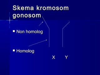 Mutasi gen & mutasi-kromosom | PPT