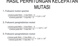 PPT Genetika: Mutasi Bakteri | PPTX