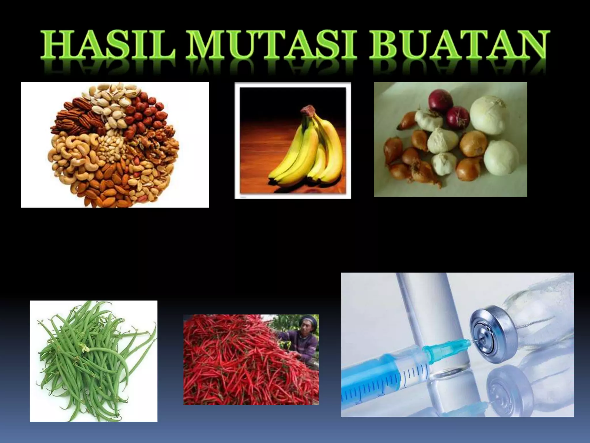 Mutasi Buatan | PPTX