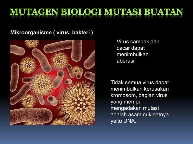 Mutasi Buatan | PPT