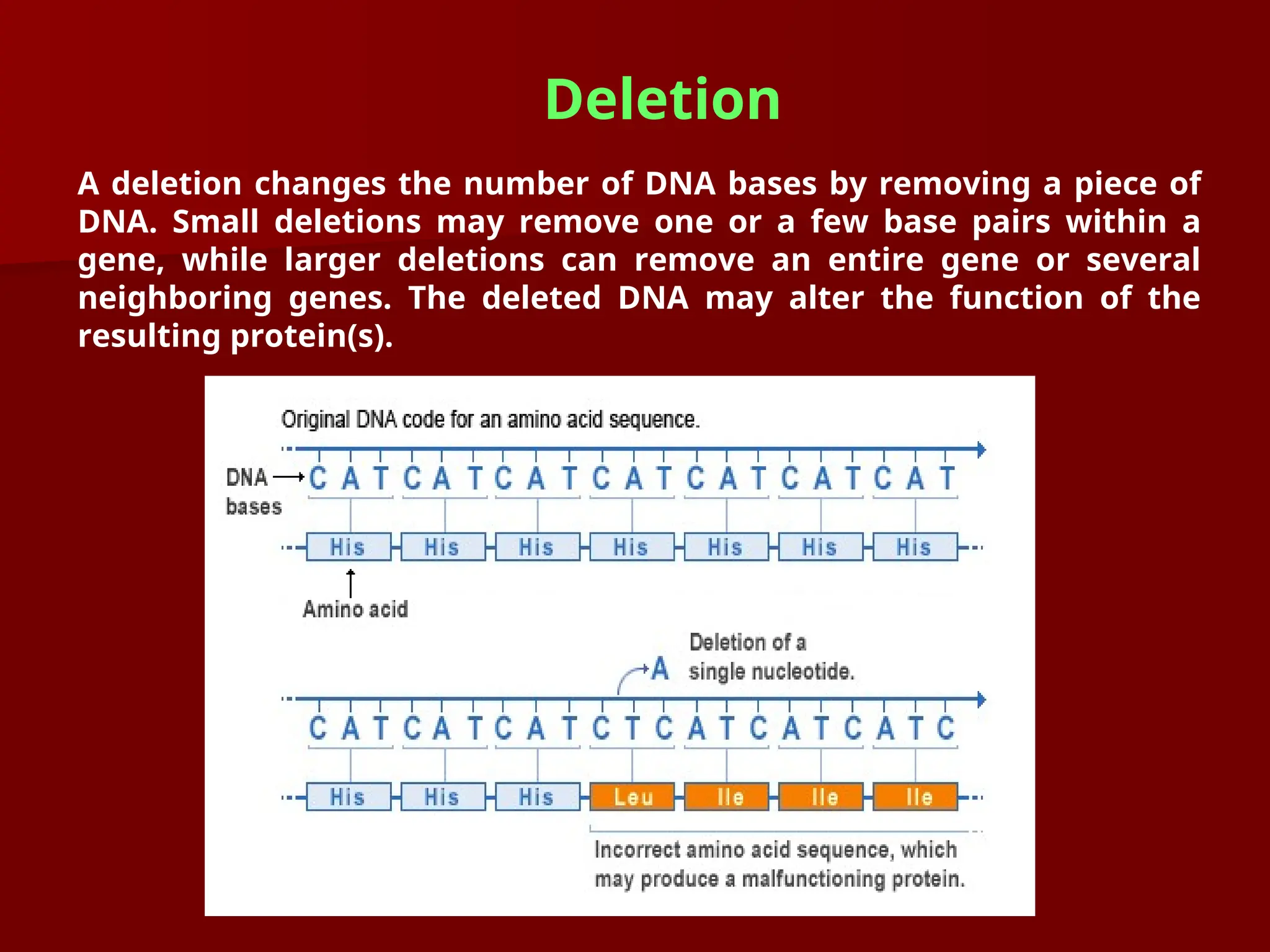 mutasi gen mutasi gen mutasi gen mutasi gen | PPT