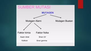 Mutasi gen pada mata kuliah biologi tentang rekayasa genetik | PPTX