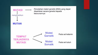 Mutasi gen pada mata kuliah biologi tentang rekayasa genetik | PPTX