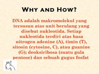 Mutasi gen pada penderita leukimia | PPT