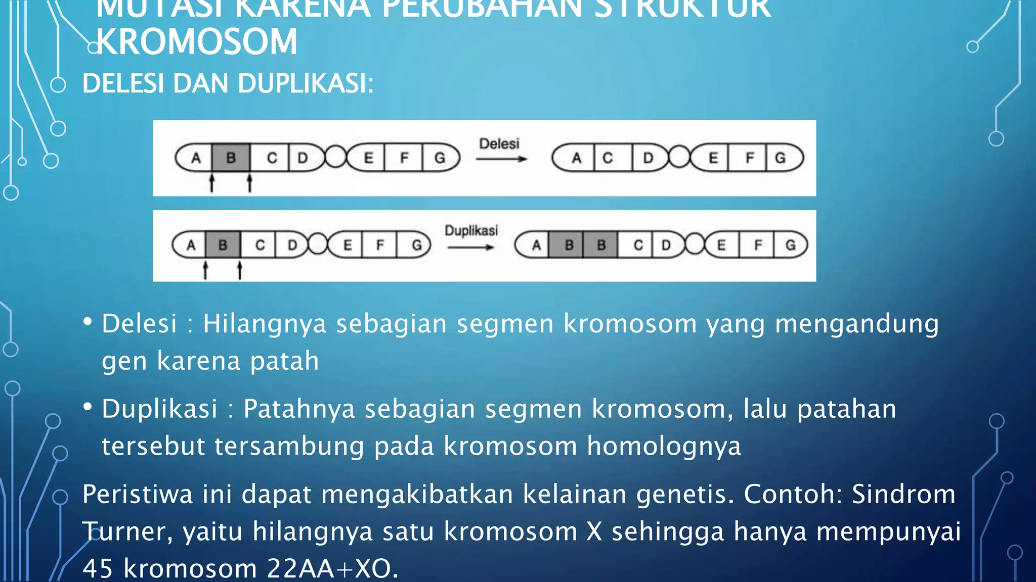 Mutasi kromosom ( Materi Kelas XII SMA) | PPTX