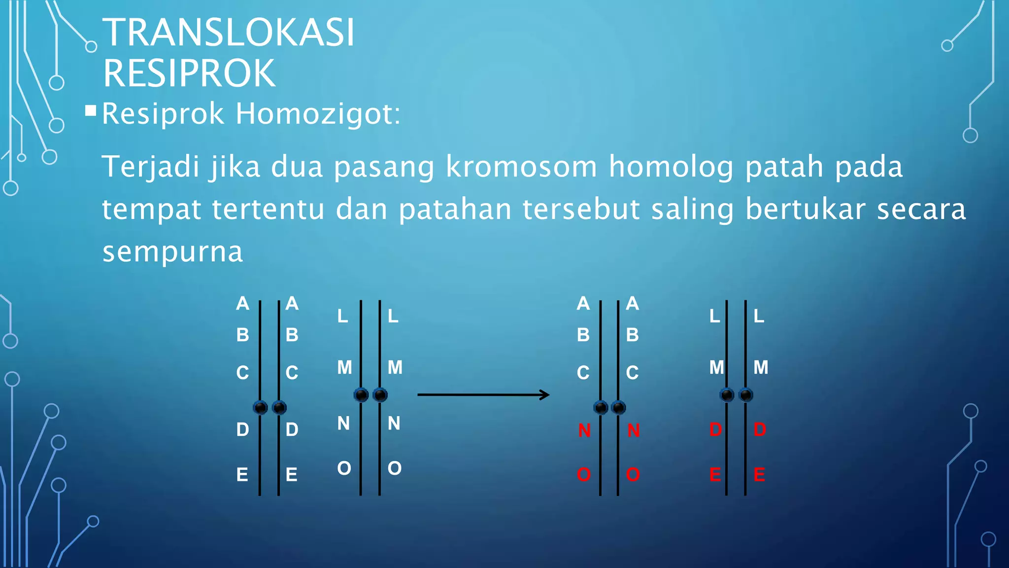Mutasi kromosom ( Materi Kelas XII SMA) | PPTX