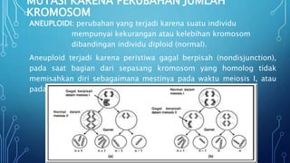 Mutasi kromosom ( Materi Kelas XII SMA) | PPTX