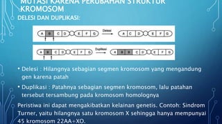 Mutasi kromosom ( Materi Kelas XII SMA) | PPTX