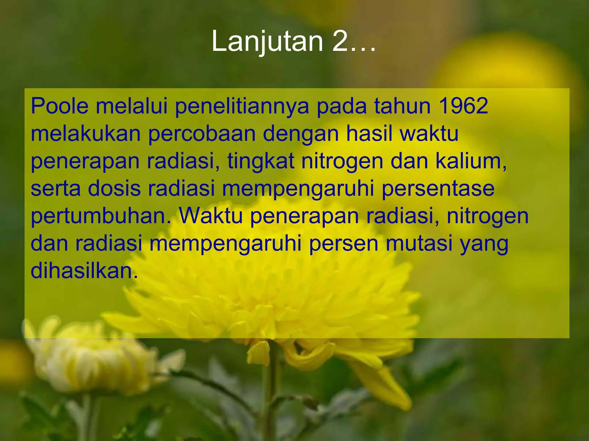 Mutasi pada Bunga Krisan | PPT