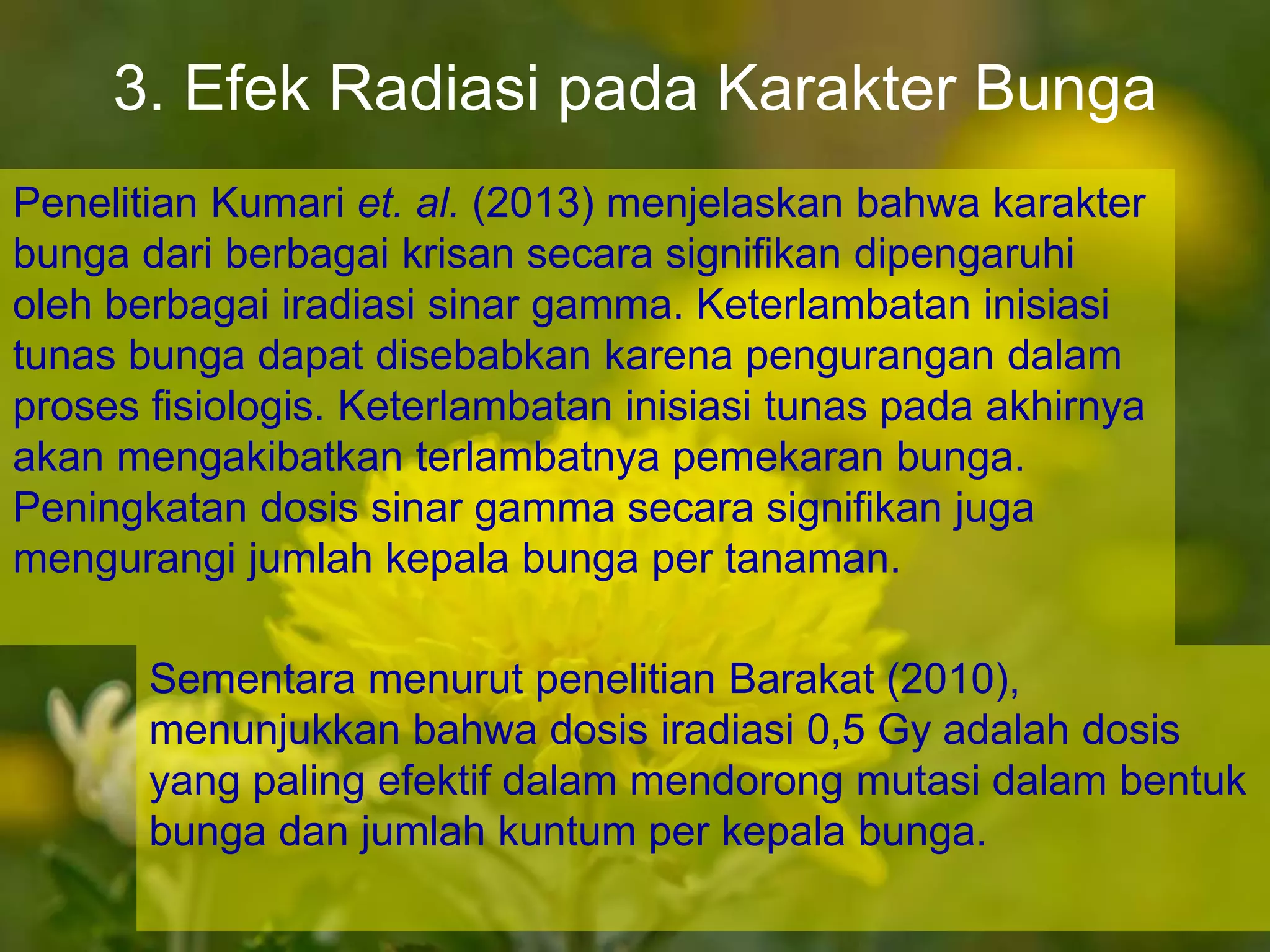 Mutasi pada Bunga Krisan | PPT