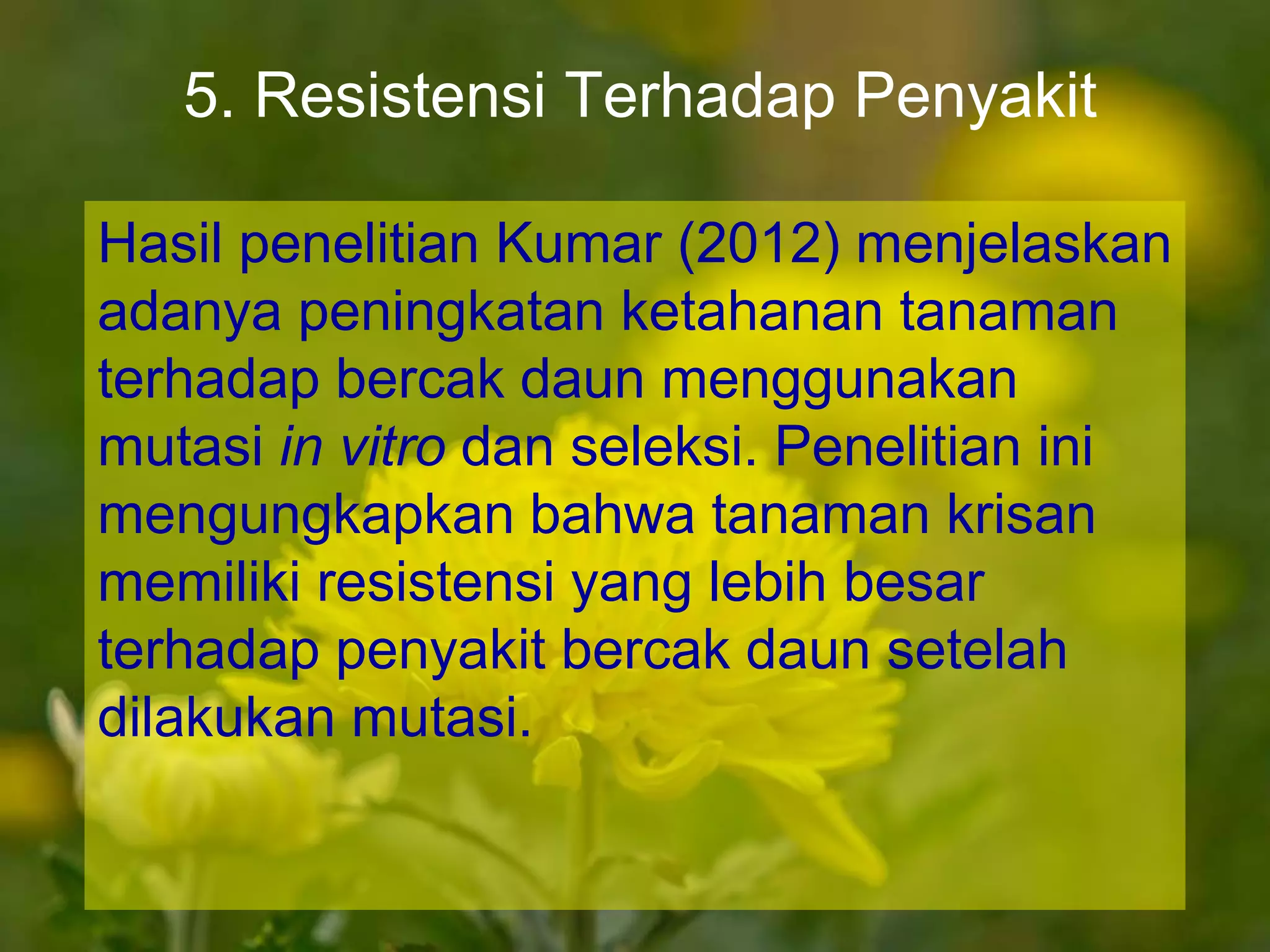 Mutasi pada Bunga Krisan | PPT