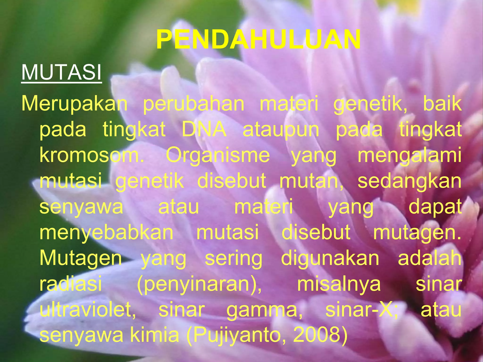 Mutasi pada Bunga Krisan | PPT