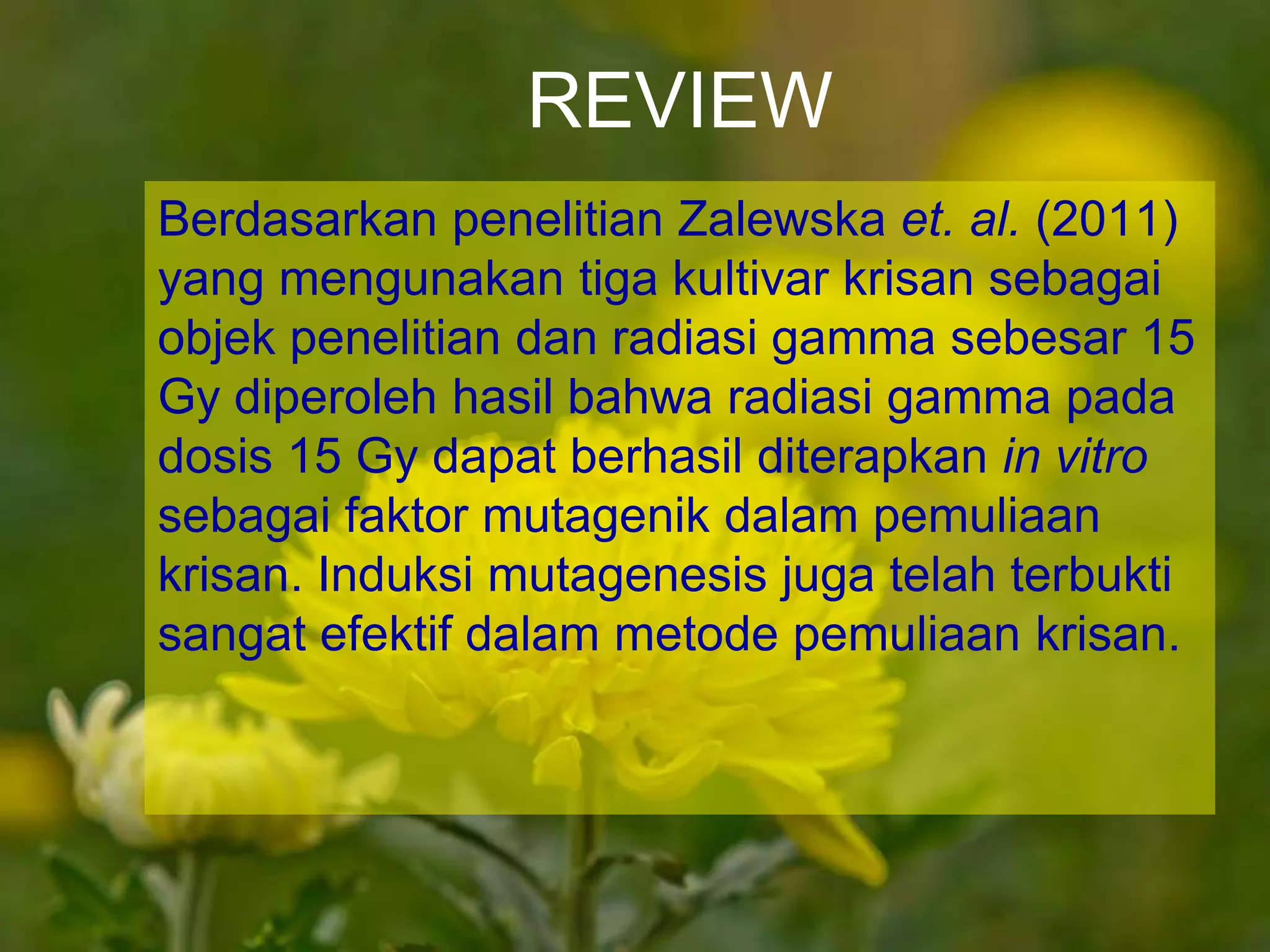 Mutasi pada Bunga Krisan | PPT