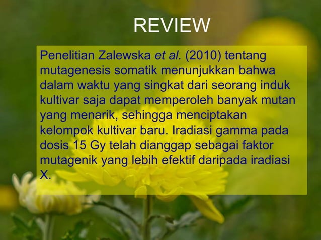 Mutasi pada Bunga Krisan | PPT