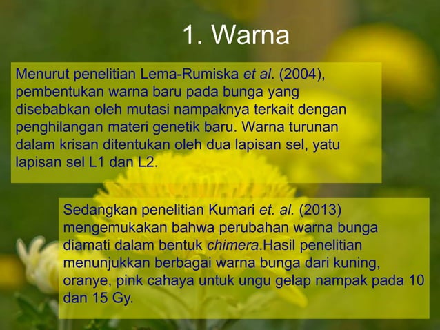 Mutasi pada Bunga Krisan | PPT