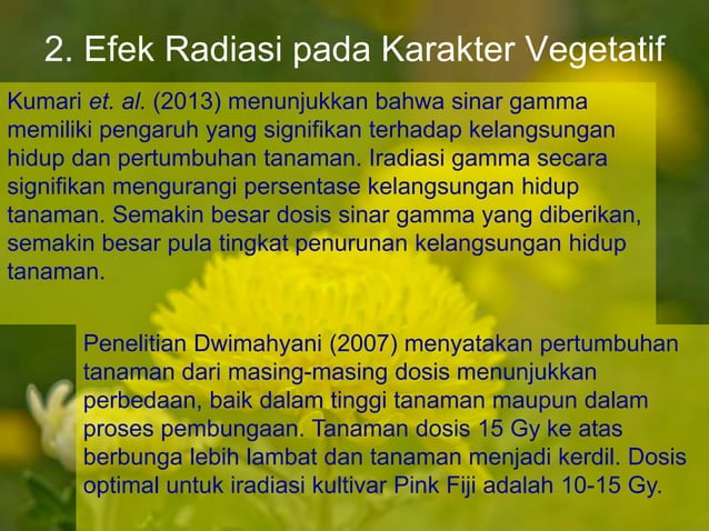 Mutasi pada Bunga Krisan | PPT