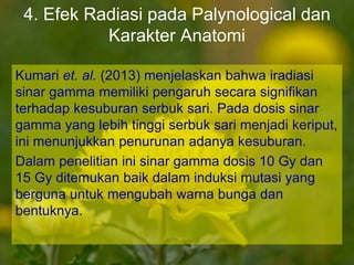 Mutasi pada Bunga Krisan | PPTX