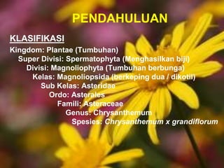 Mutasi pada Bunga Krisan | PPTX