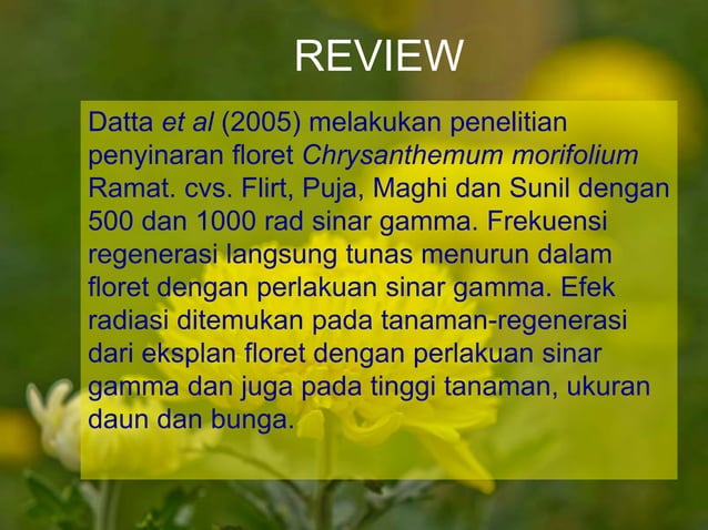 Mutasi pada Bunga Krisan | PPT