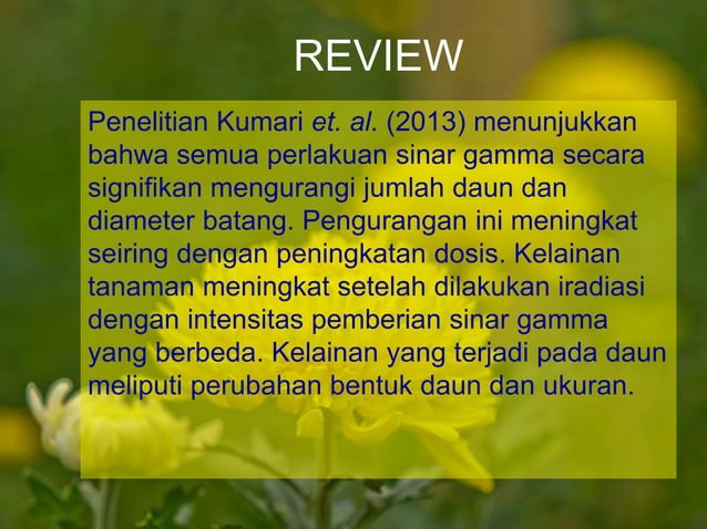 Mutasi pada Bunga Krisan | PPT