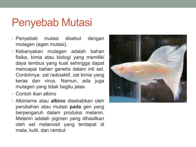 Mutasi perkuliahan Dasar Genetika ikan part 1pptx.pptx