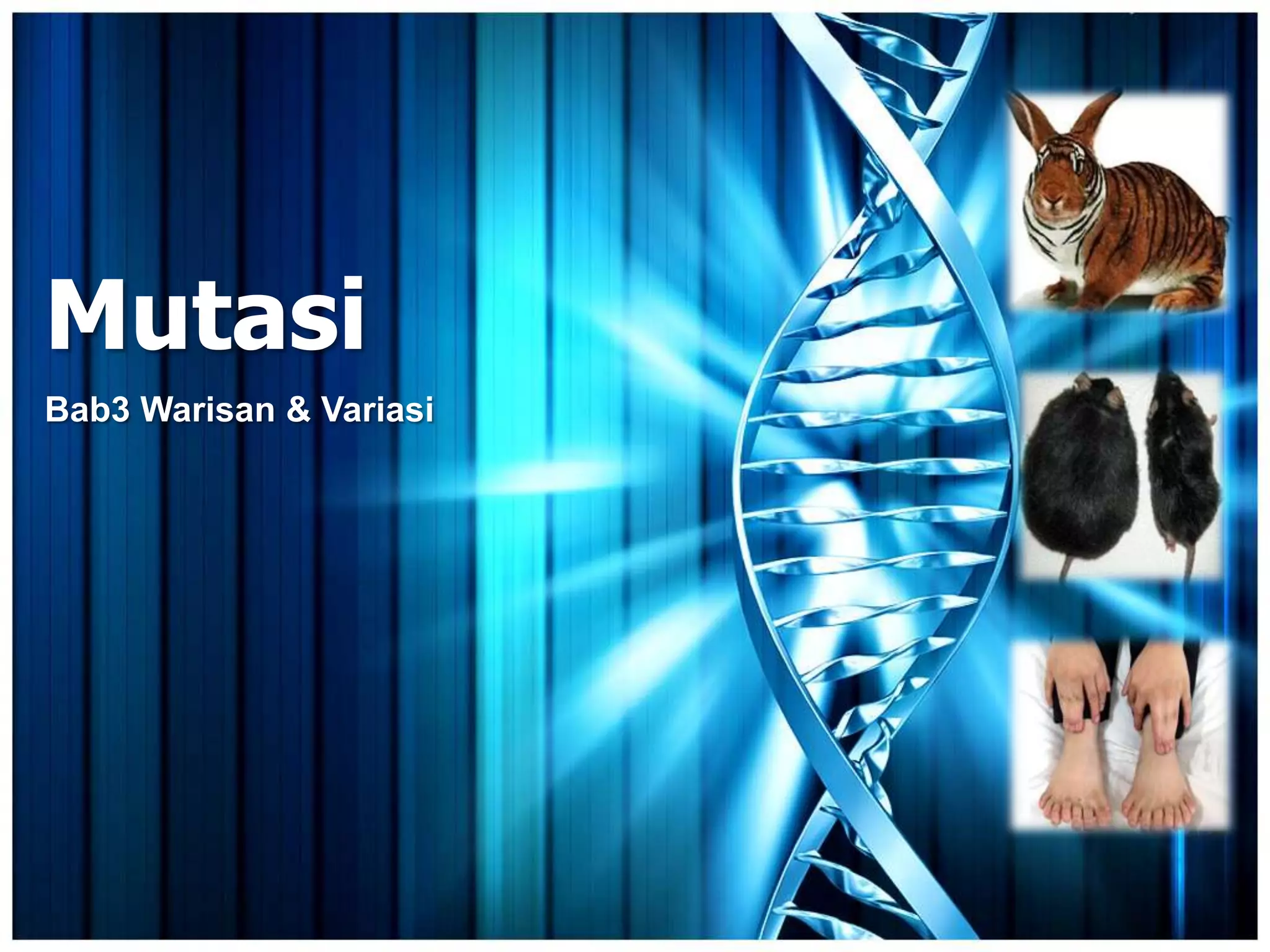 Materi Biologi Mutasi | PPTX