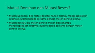 Powerpoint Mutasi dalam mekanisme evolusi manusia biologi SMA | PPTX