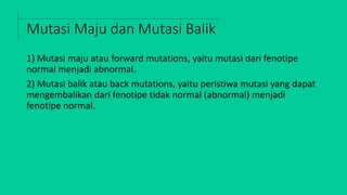 Powerpoint Mutasi dalam mekanisme evolusi manusia biologi SMA | PPTX