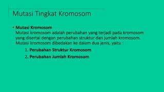 Powerpoint Mutasi dalam mekanisme evolusi manusia biologi SMA | PPTX