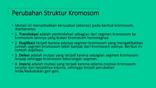 Powerpoint Mutasi dalam mekanisme evolusi manusia biologi SMA | PPTX