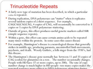 Mutation | PPT