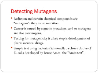 Mutation | PPT
