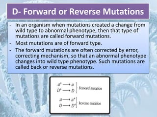 Mutation | PPTX | Chemistry | Science
