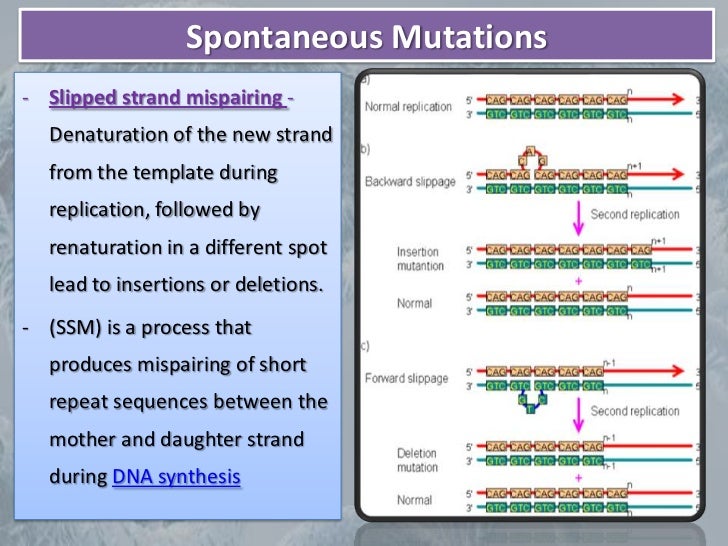 Mutation