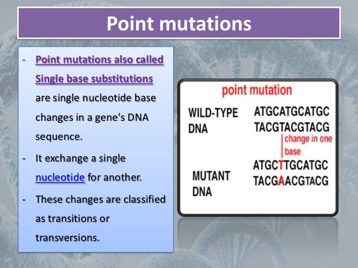 Mutation