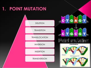 Mutation | PPT