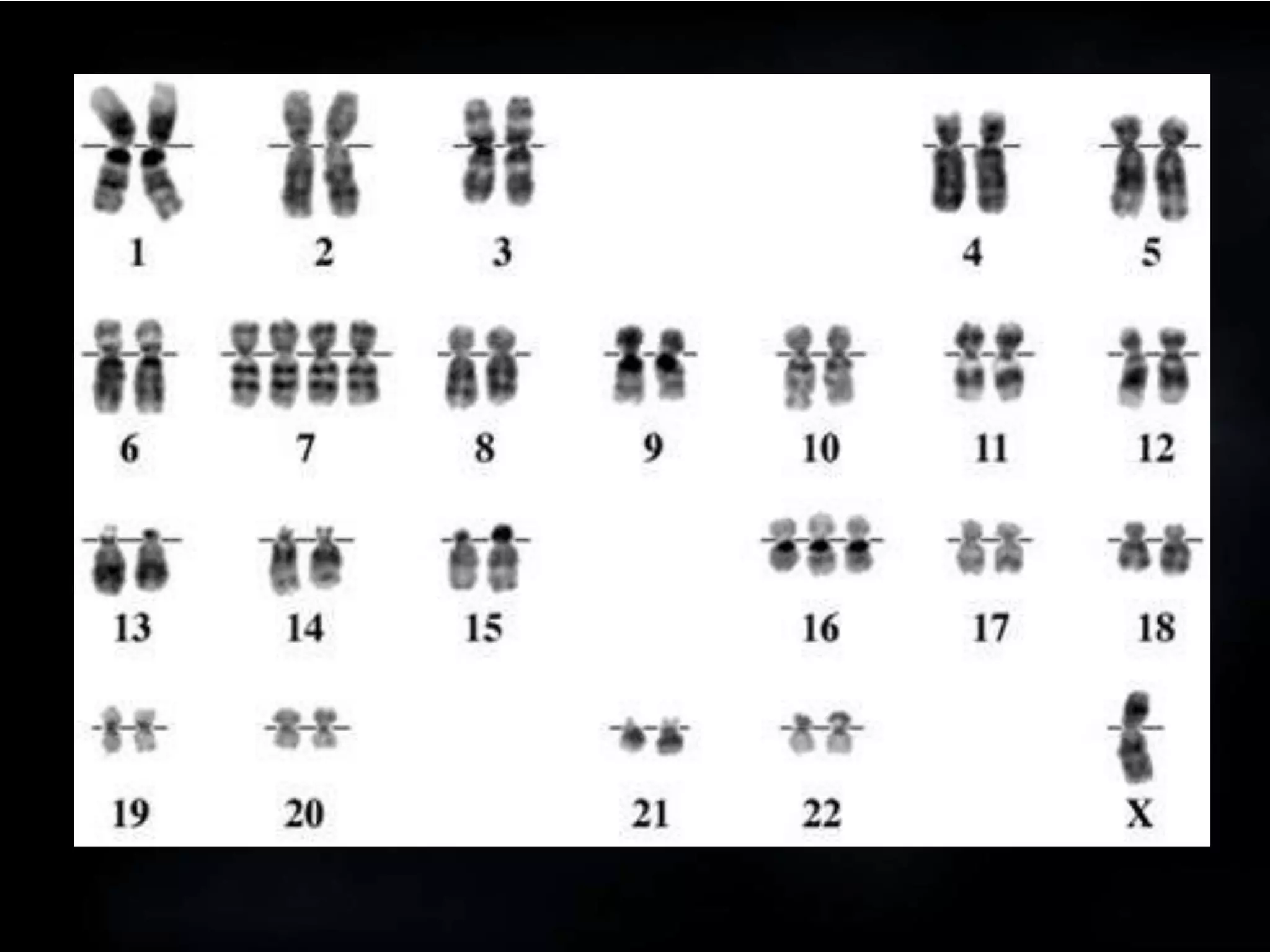 Mutation, Types and Causes, Chromosomal Variation in Number, Gene Mutation | PPTX