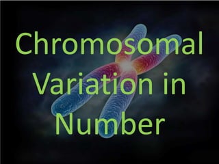 Mutation, Types and Causes, Chromosomal Variation in Number, Gene ...