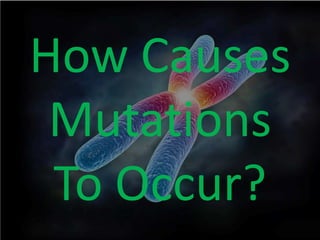 Mutation, Types and Causes, Chromosomal Variation in Number, Gene ...