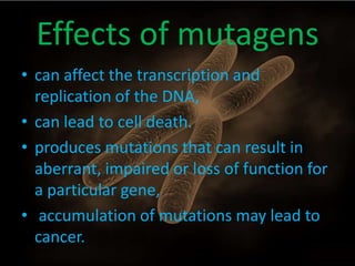 Mutation, Types and Causes, Chromosomal Variation in Number, Gene ...