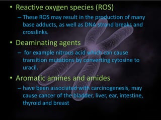Mutation, Types and Causes, Chromosomal Variation in Number, Gene ...