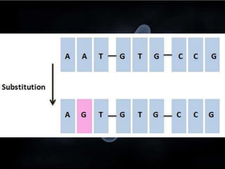 Mutation, Types and Causes, Chromosomal Variation in Number, Gene ...