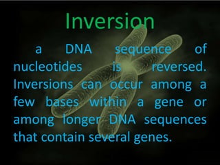 Mutation, Types and Causes, Chromosomal Variation in Number, Gene ...