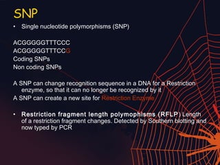brief overview of Mutation. | PPT