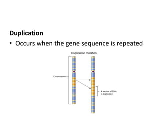 Mutation | PPTX