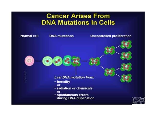 Mutation | PPTX | Genetics | Science