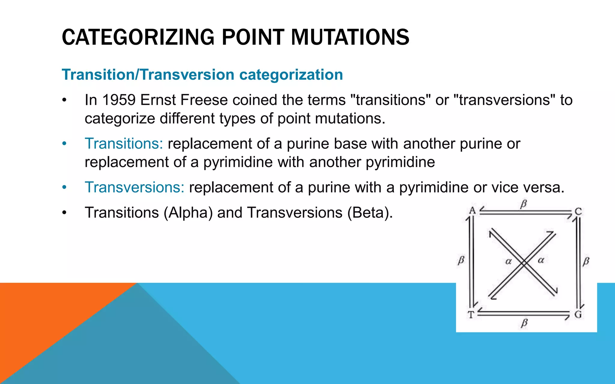 types of Mutation | PPTX