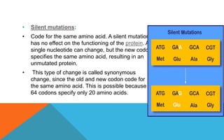 types of Mutation | PPTX